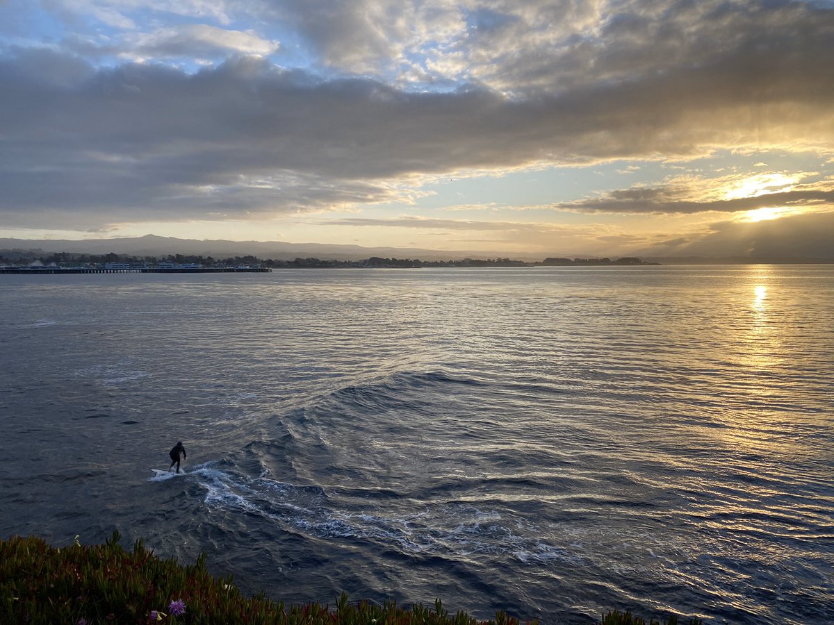 20200320F Day 80: First 80 Days of Surfing into a Pandemic – surfing ...